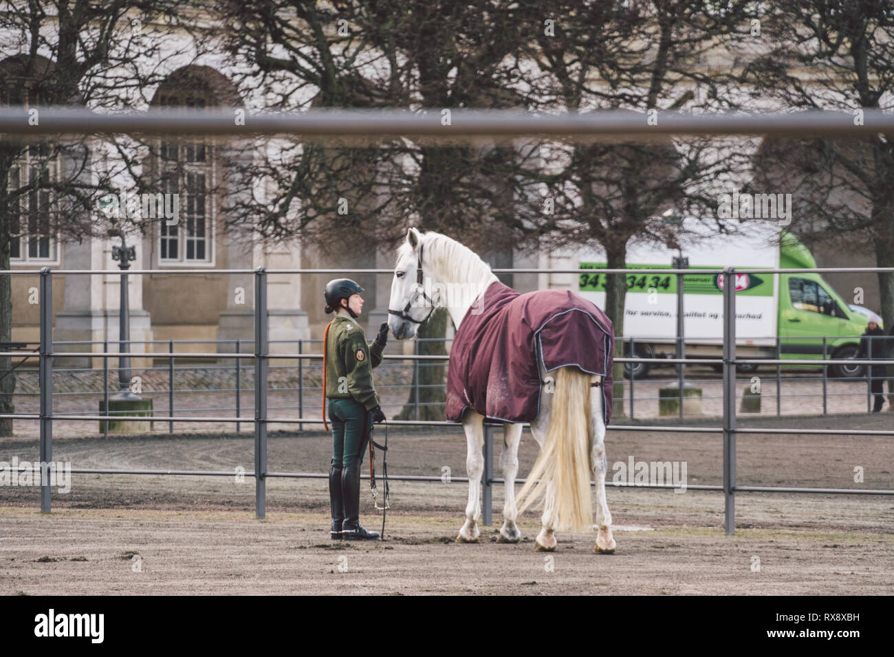 Castle Horse Stable High Resolution Stock Photography and Images - Alamy