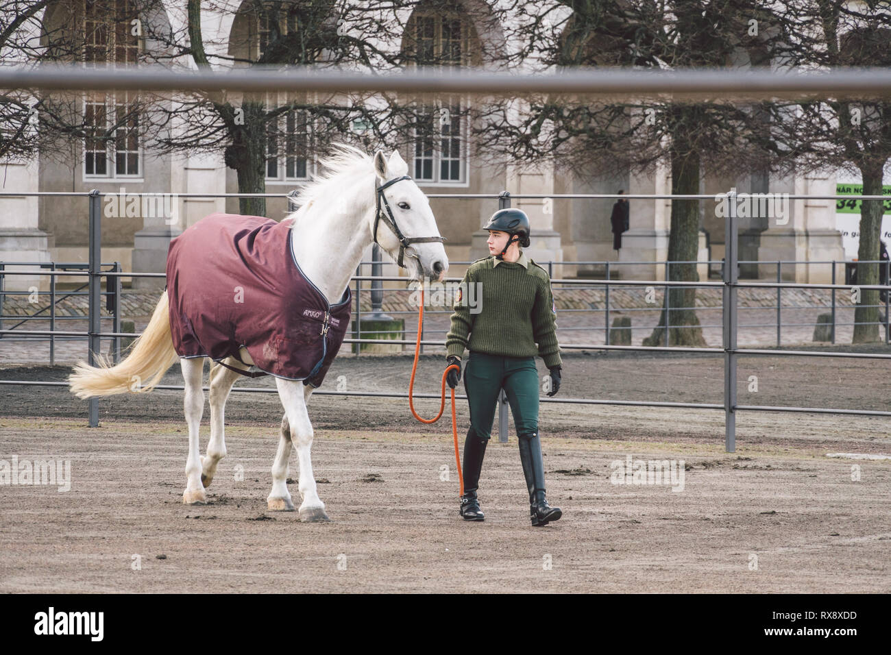 Castle Horse Stable High Resolution Stock Photography and Images - Alamy