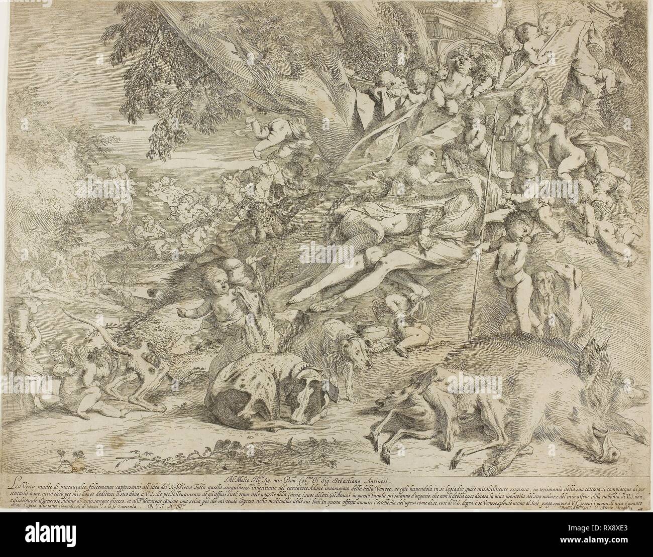 Venus and Adonis. Pietro Testa; Italian, 1611/12-1650. Date: 1631-1637 ...