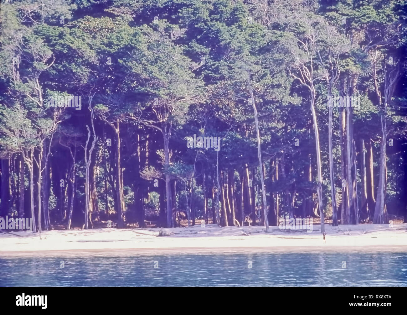 Mid west andaman island hi-res stock photography and images - Alamy