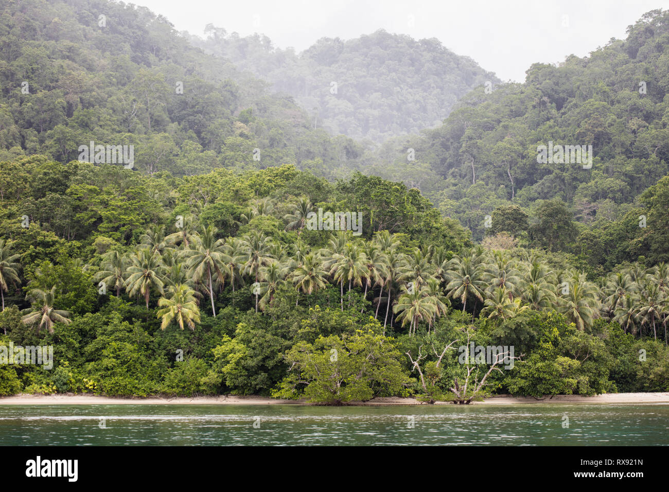 A gorgeous, tropical island is surrounded by reef in Papua New Guinea ...
