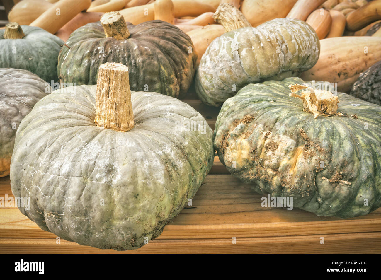 Wooden basket decorative pumpkins hi-res stock photography and images ...