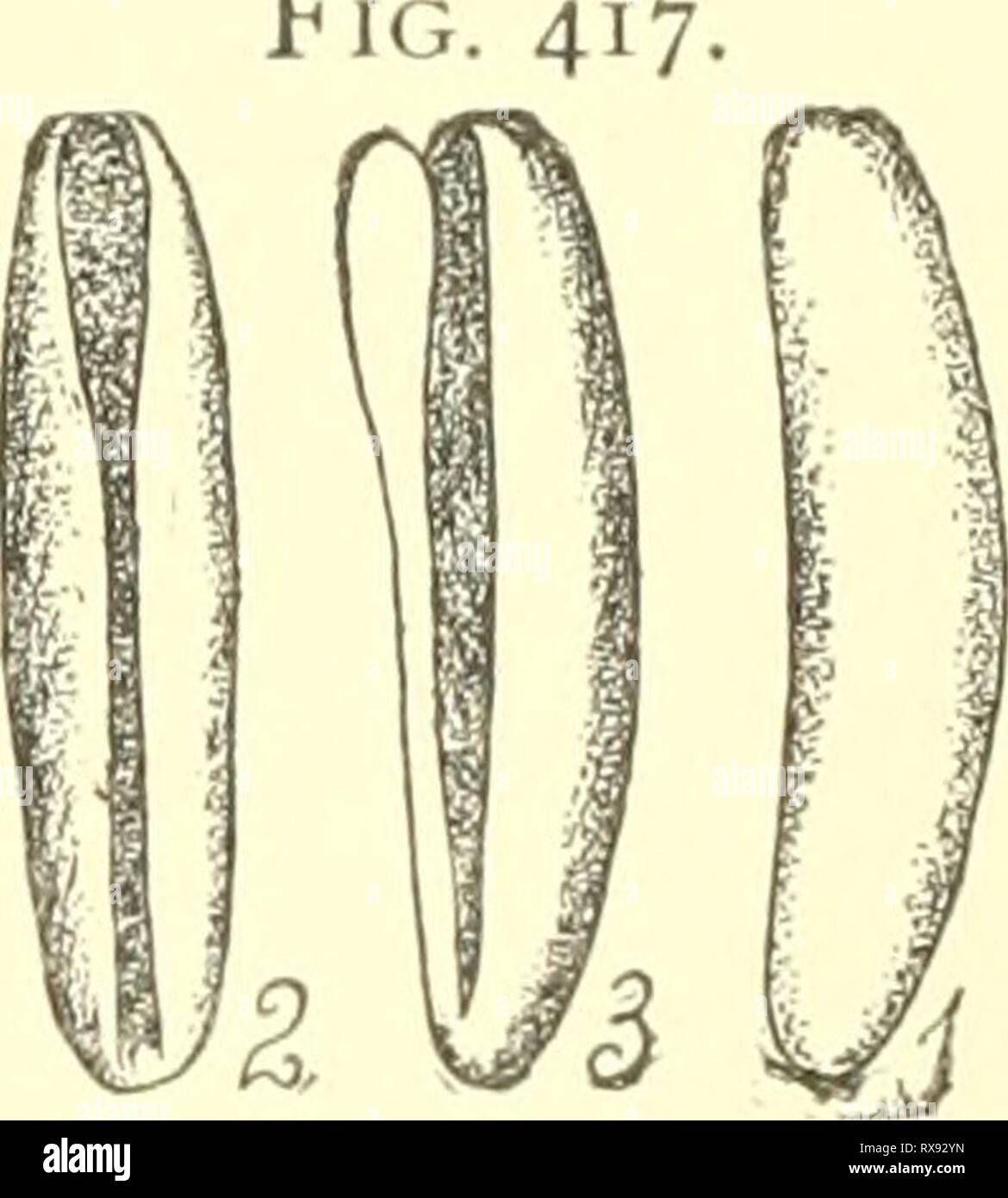 Udder places hi-res stock photography and images - Alamy