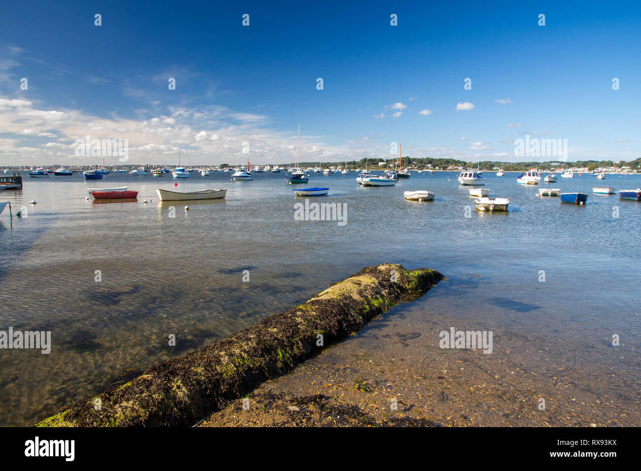 Poole harbour hi-res stock photography and images - Alamy