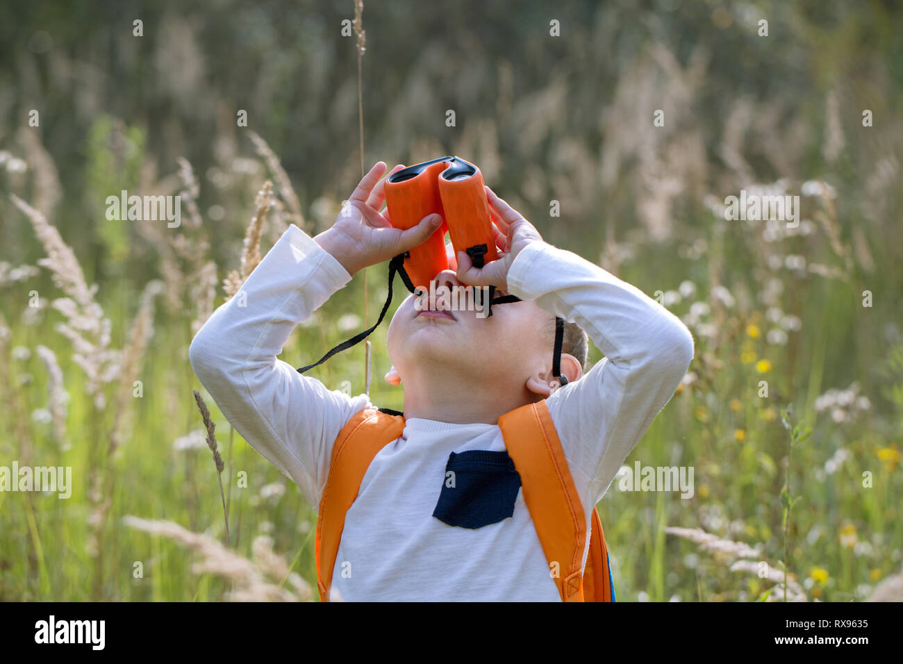 Young explorer watching with binoculars of birds in the high grass in ...