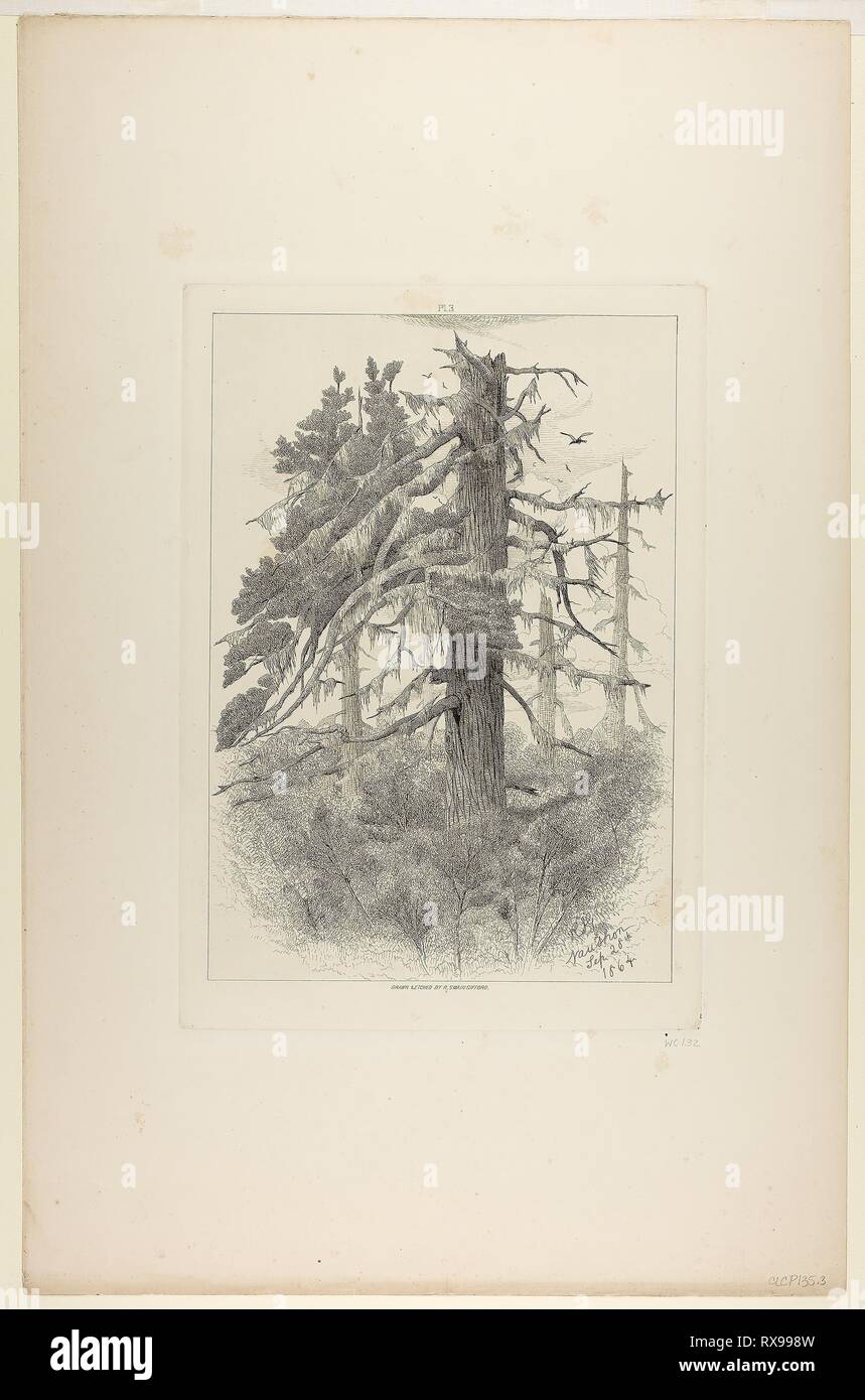 Naushon island hi-res stock photography and images - Alamy