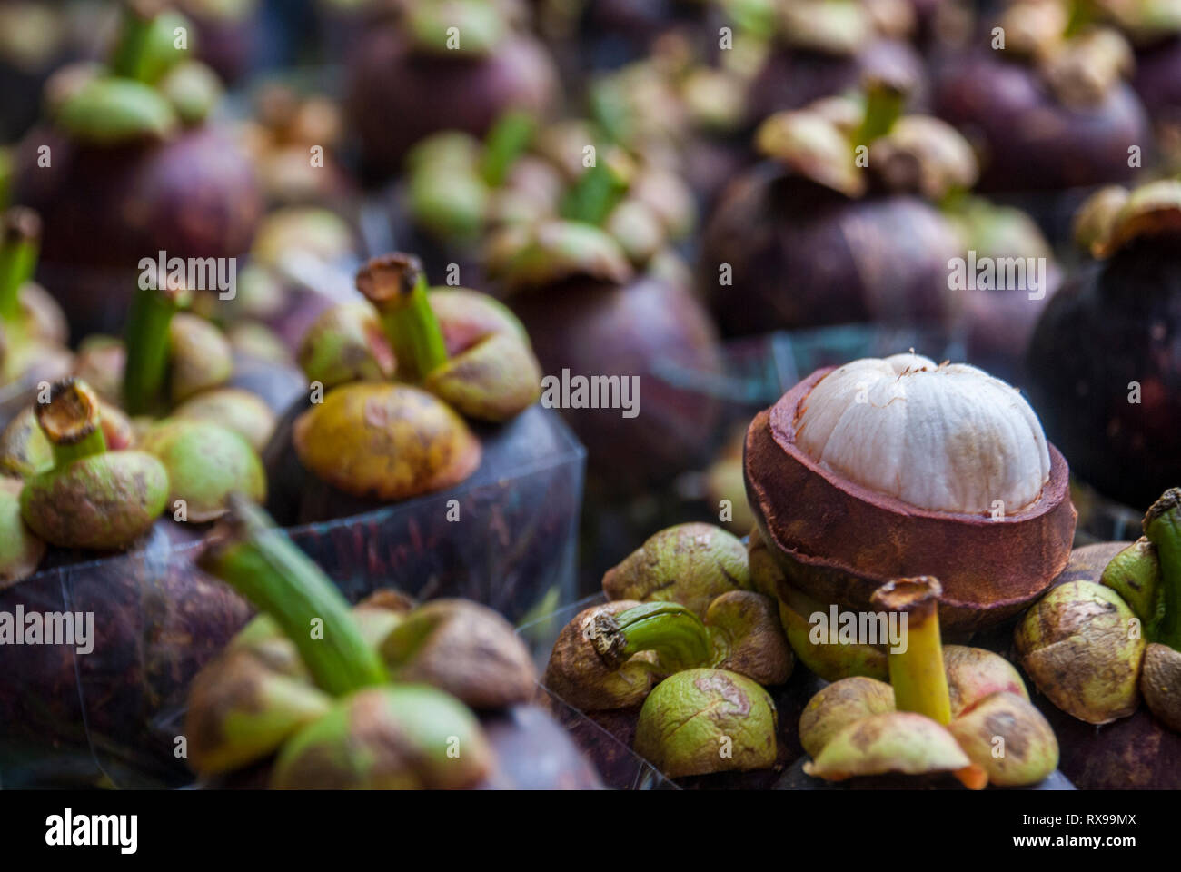 Mangosteen fruit, thick purple skin and white flesh of Queen Fruit ...