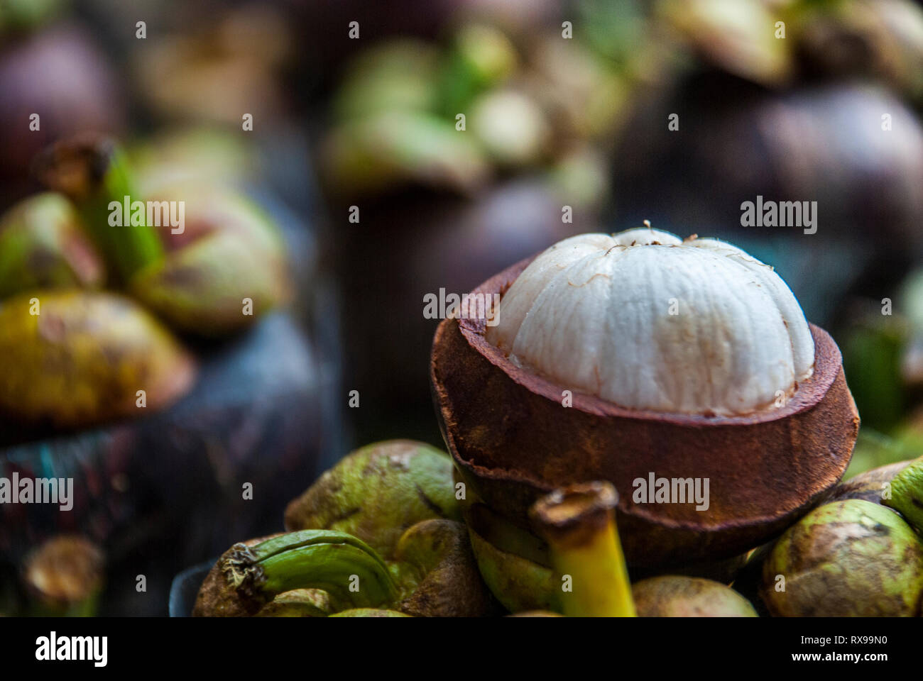 Mangosteen fruit, thick purple skin and white flesh of Queen Fruit ...