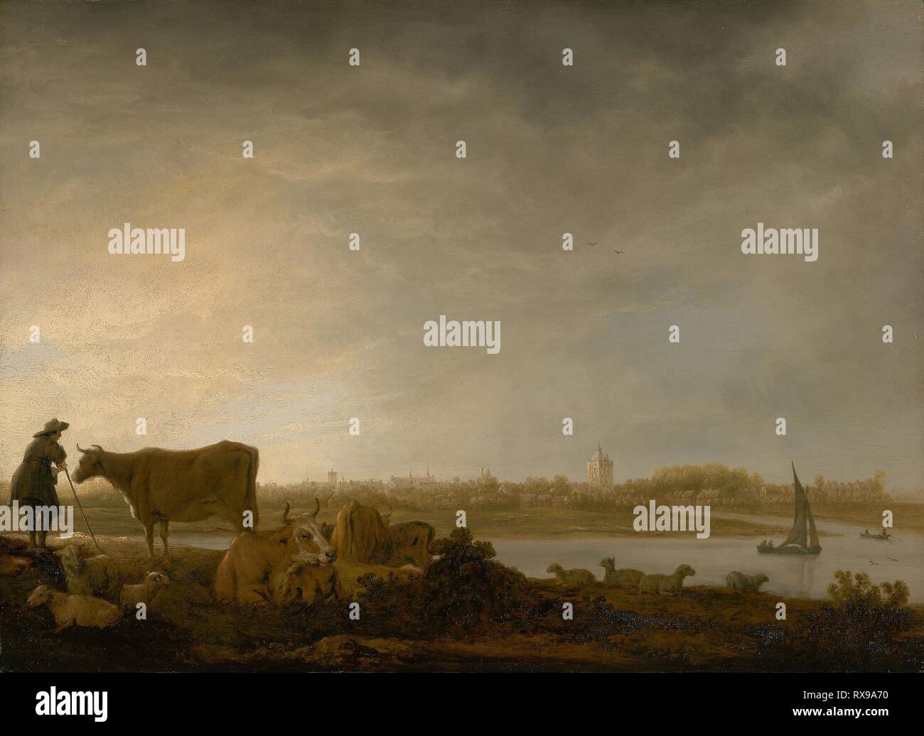 3 4 View Of 4 Cattle High Resolution Stock Photography and Images - Alamy