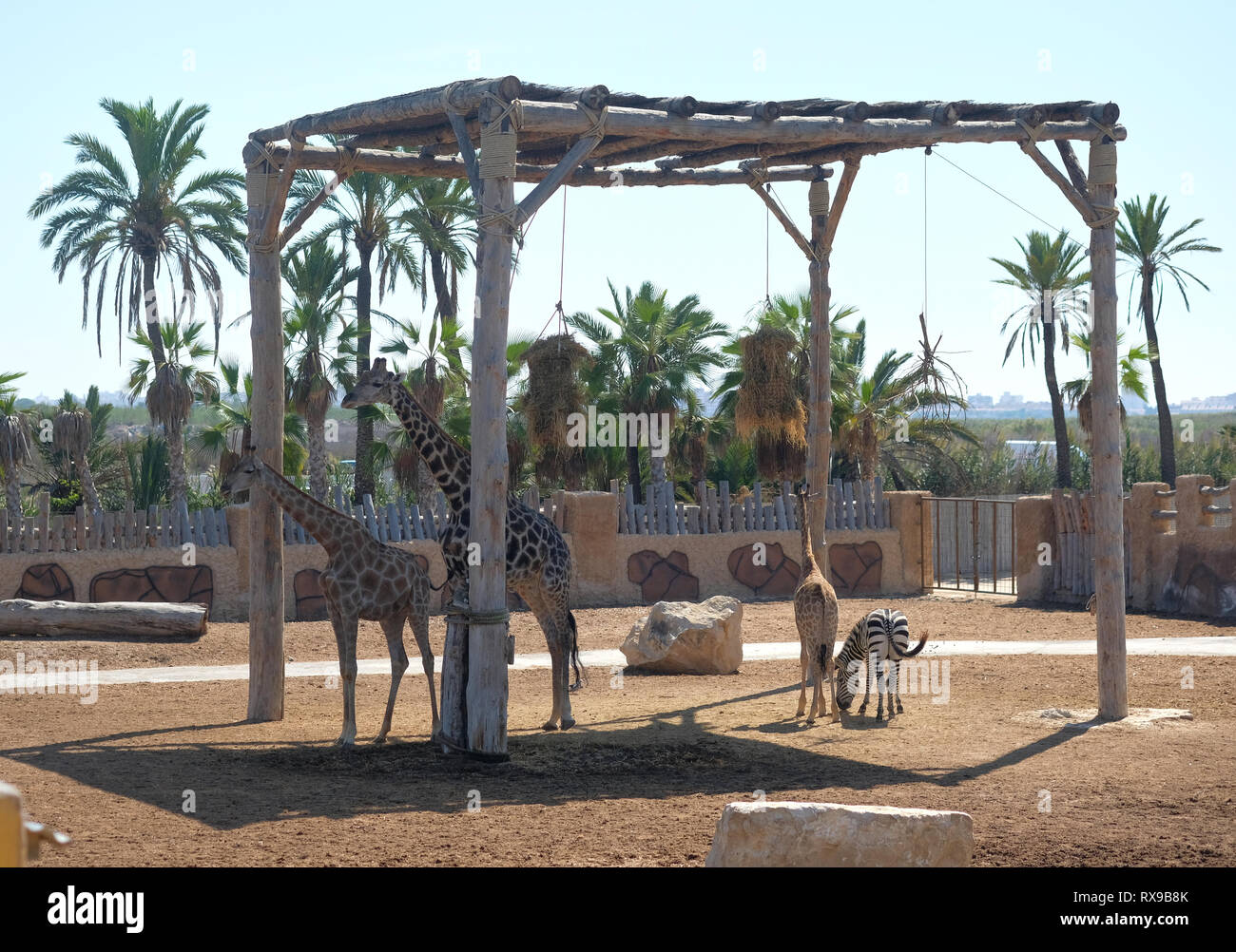 Wooden giraffes hi-res stock photography and images - Alamy