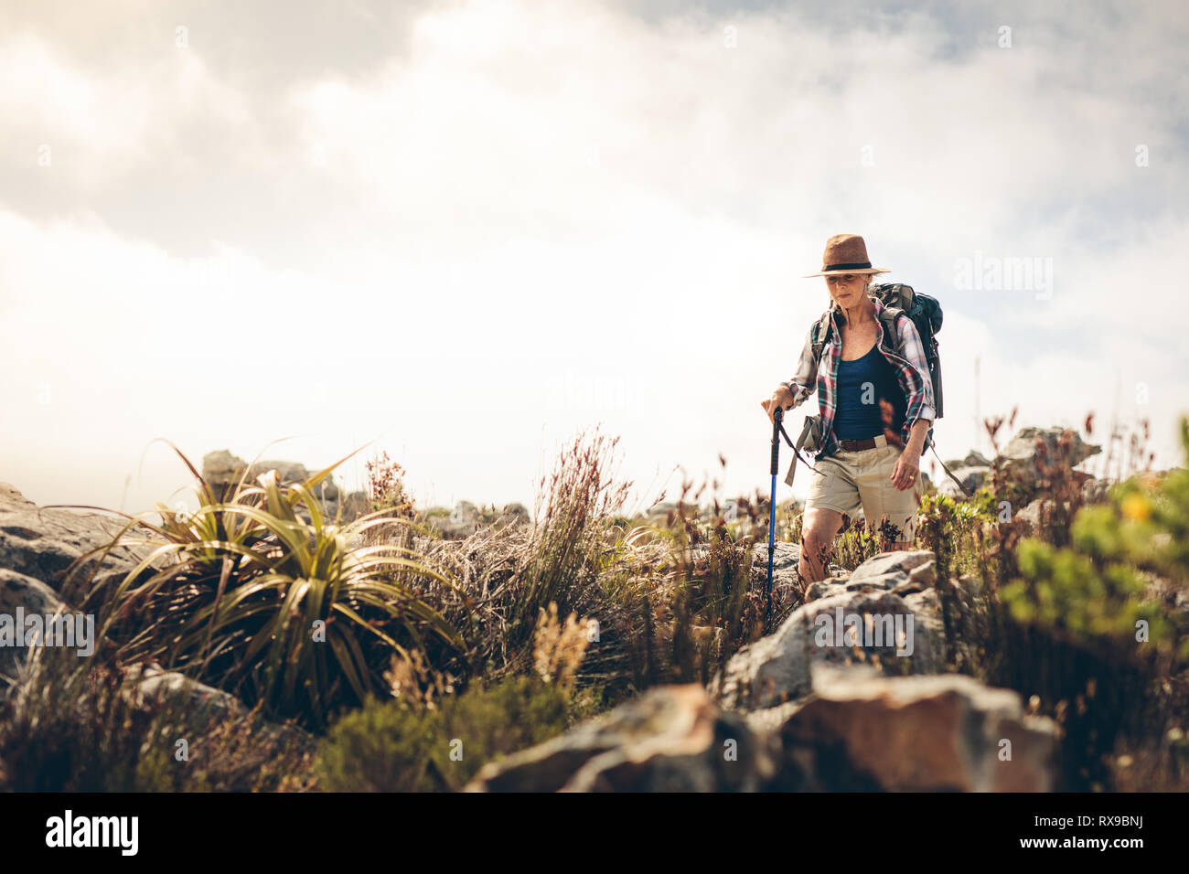 Person walking down path hi-res stock photography and images - Alamy