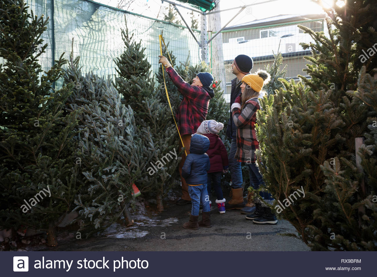 Father measuring height son hi-res stock photography and images - Alamy
