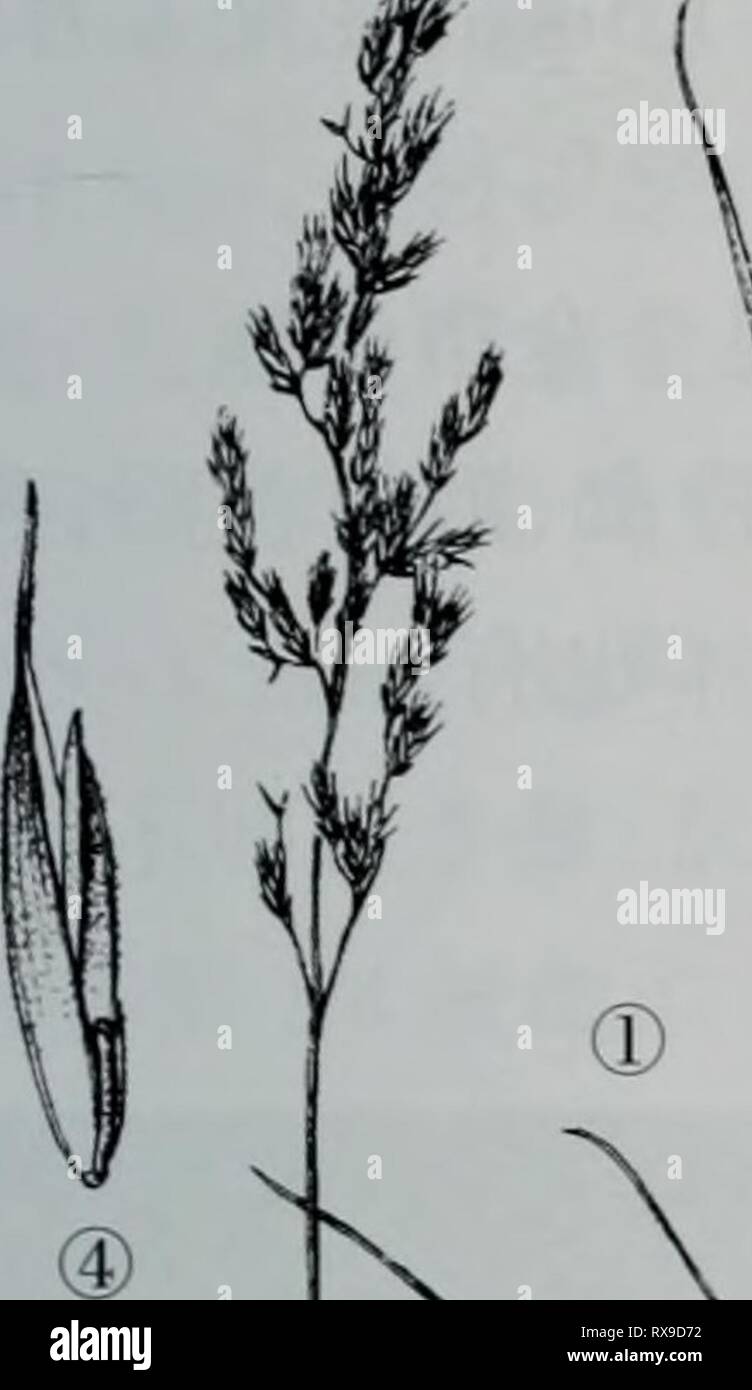 e er duo si zhi e er duo si zhi wu zhi eerduosizhiwuzhi02wuji Year ...