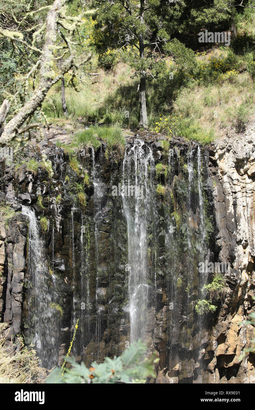The Trentham Falls in the Coliban River Scenic Reserve in the ...