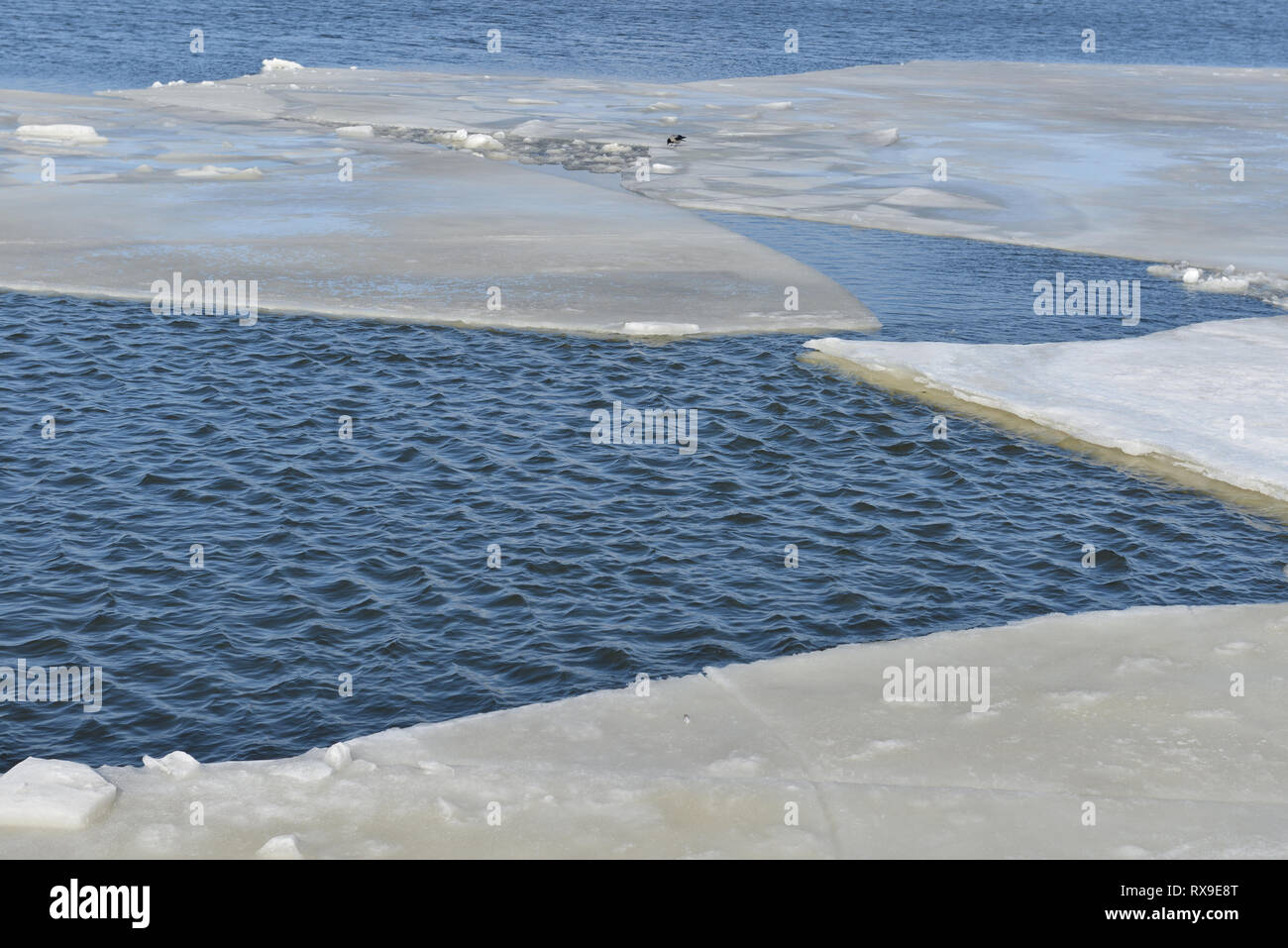Drift ice baltic sea hi-res stock photography and images - Alamy
