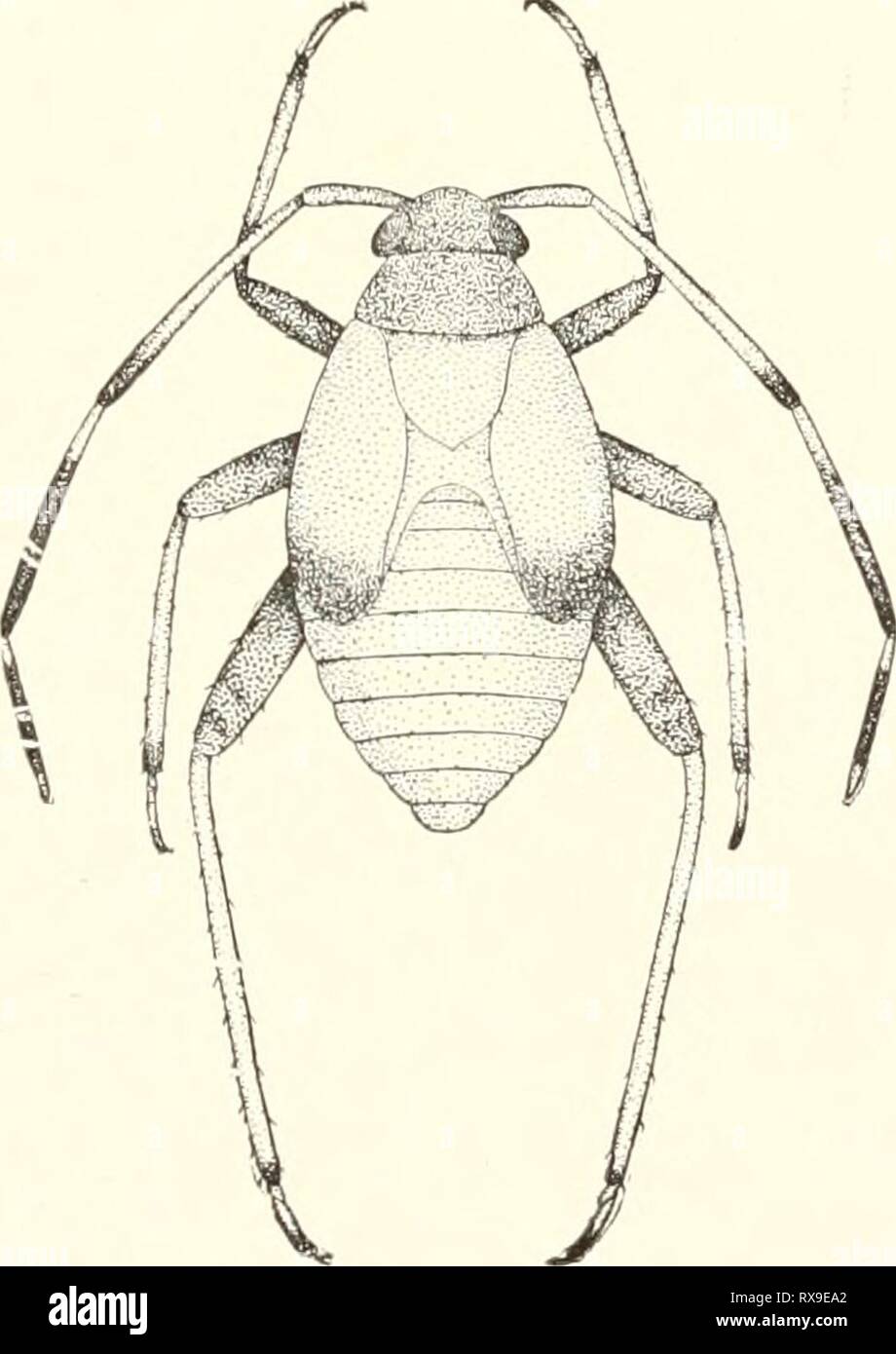 An ecological study of prairie An ecological study of prairie and ...
