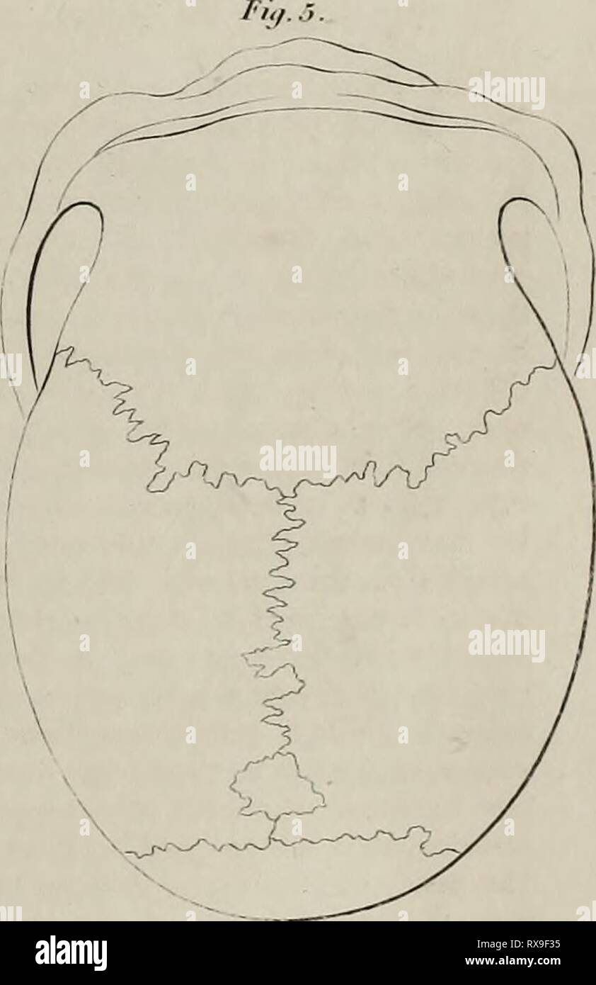 Edinburgh Encyclopedia (1830) Edinburgh Encyclopedia ...