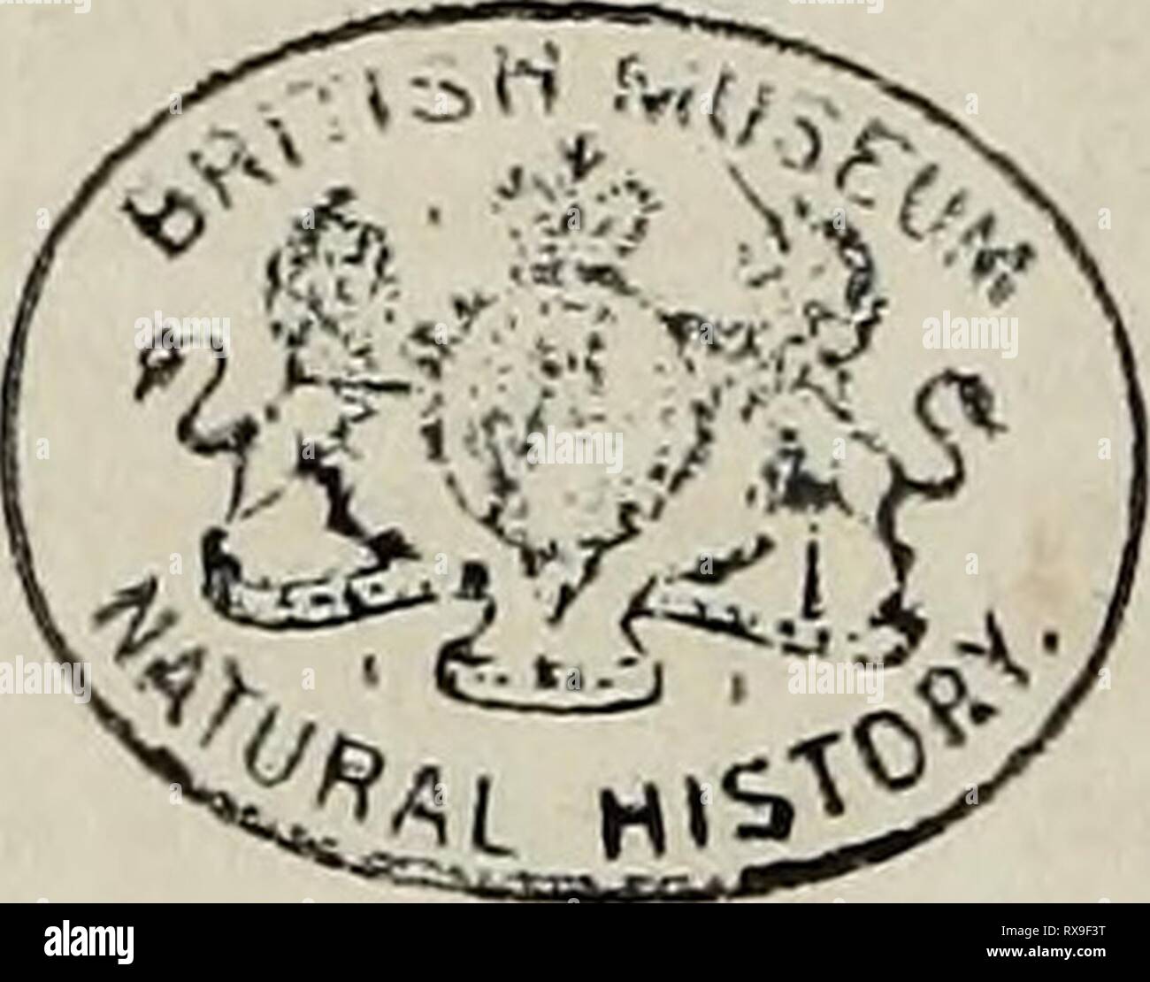 Edinburgh Encyclopedia (1830 Stock Photo - Alamy