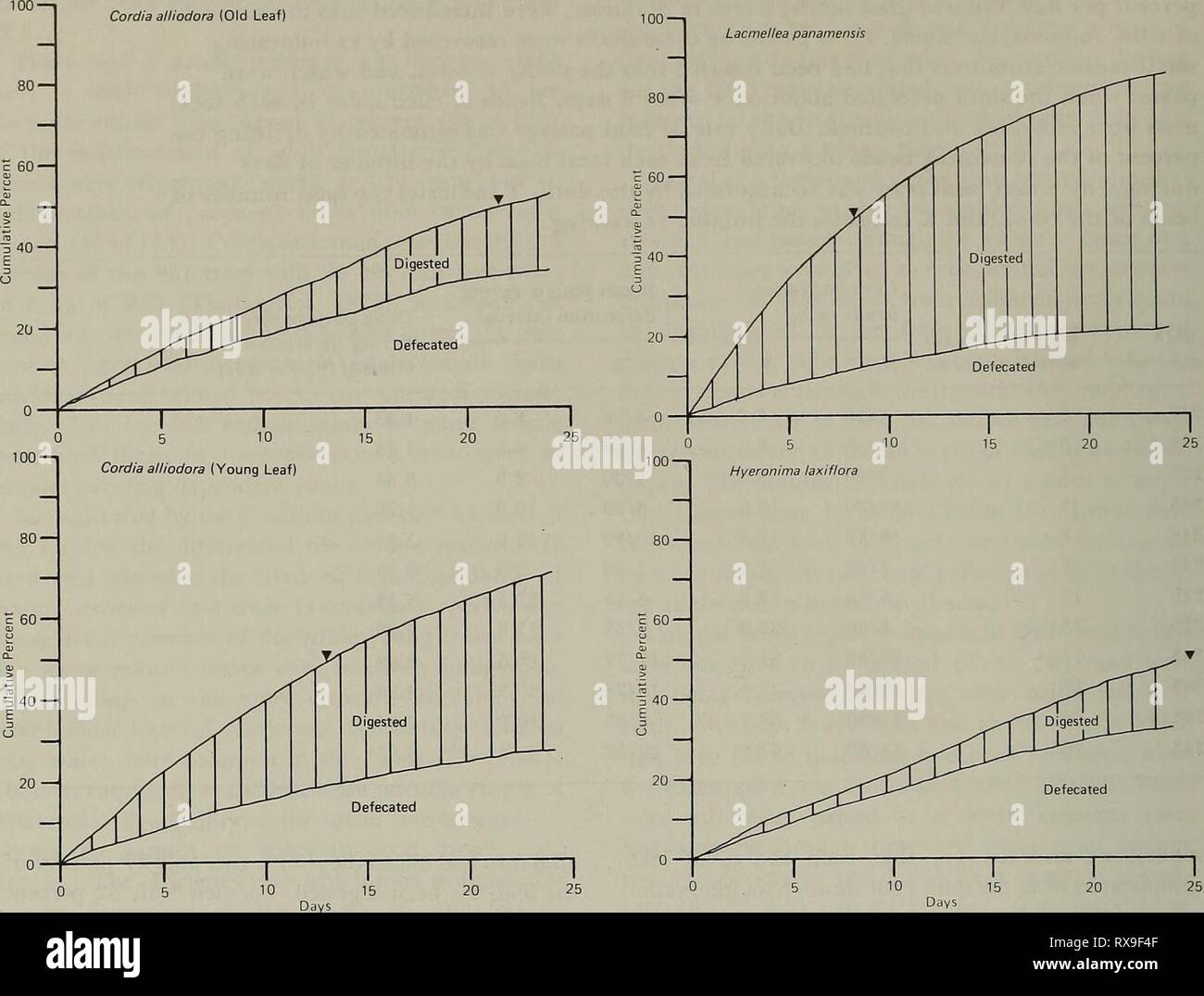 The Ecology of arboreal folivores Stock Photo - Alamy