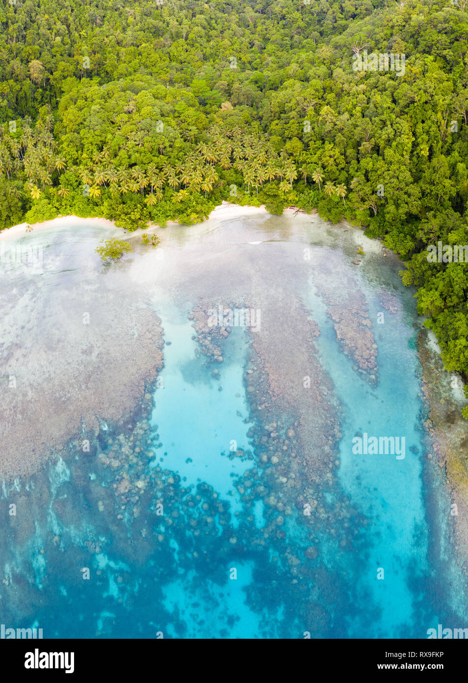 Aerial view of reef and island in Papua New Guinea. The remote ...