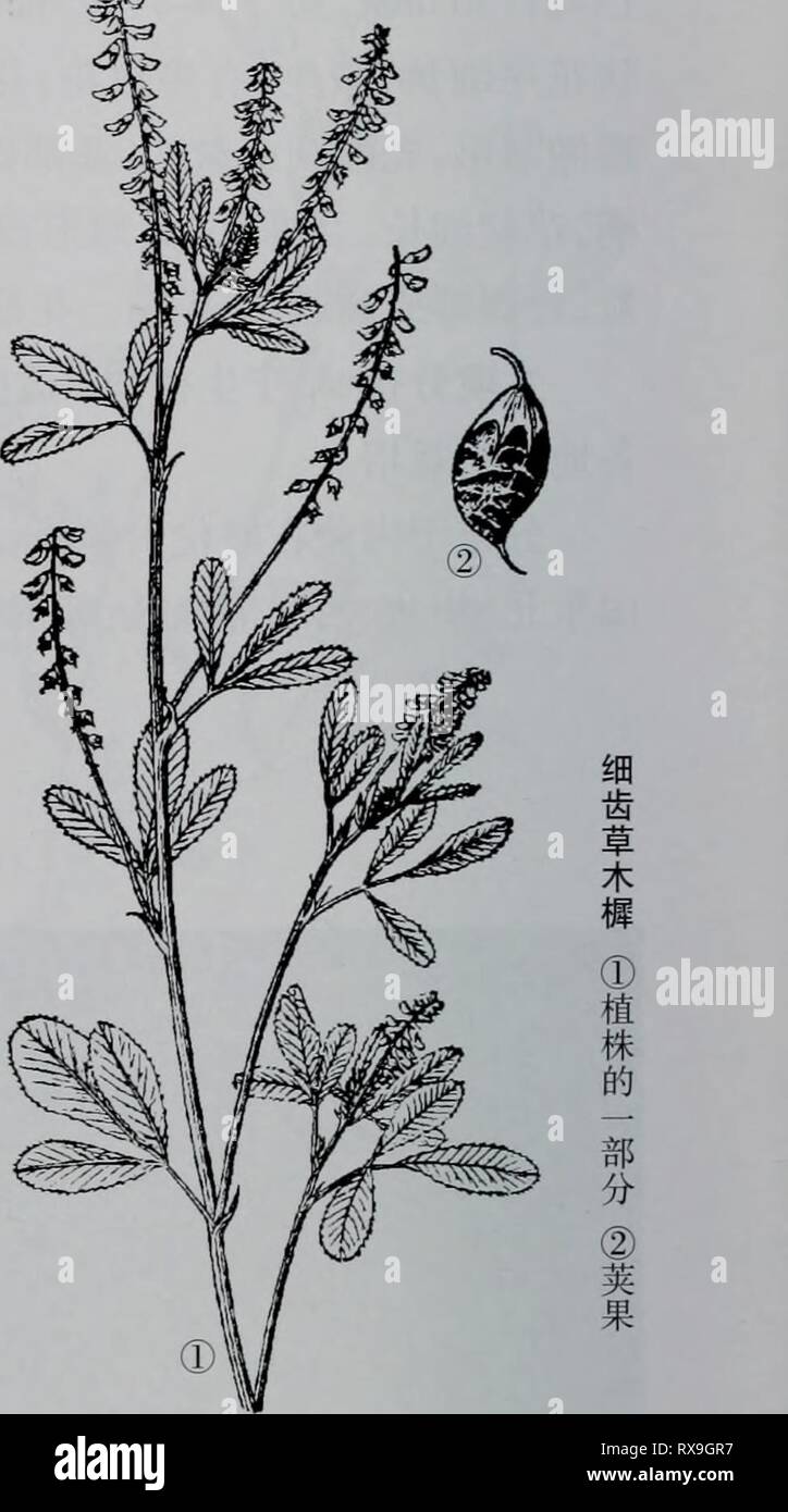 e er duo si zhi e er duo si zhi wu zhi eerduosizhiwuzhi01wuji Year ...