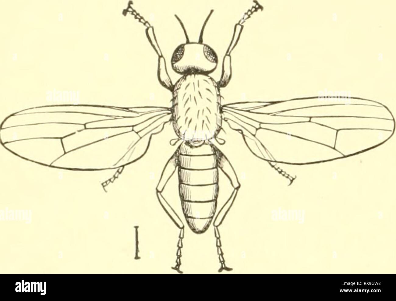 Smoke nuisance drawing hi-res stock photography and images - Alamy