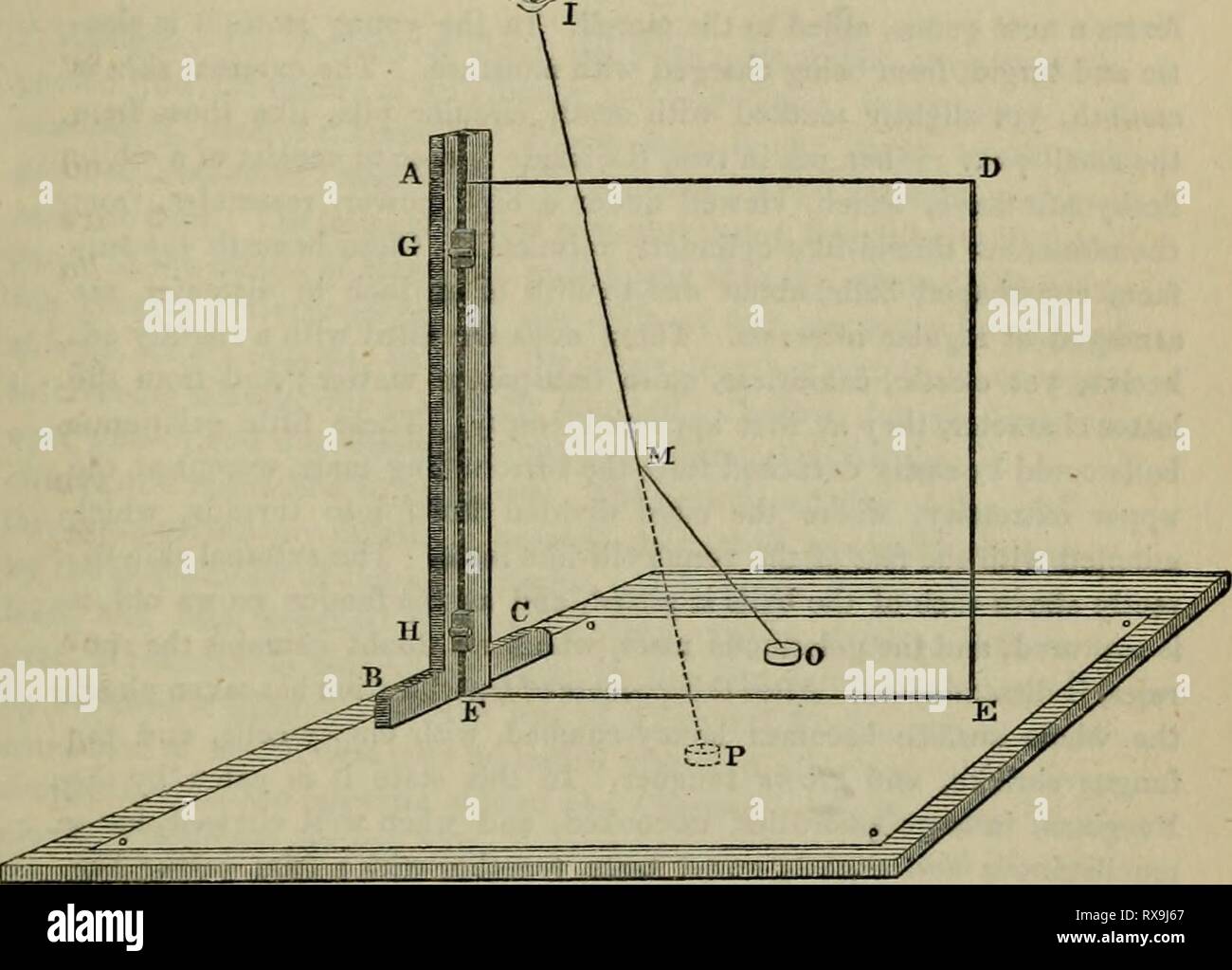 Botani cal hi-res stock photography and images - Alamy