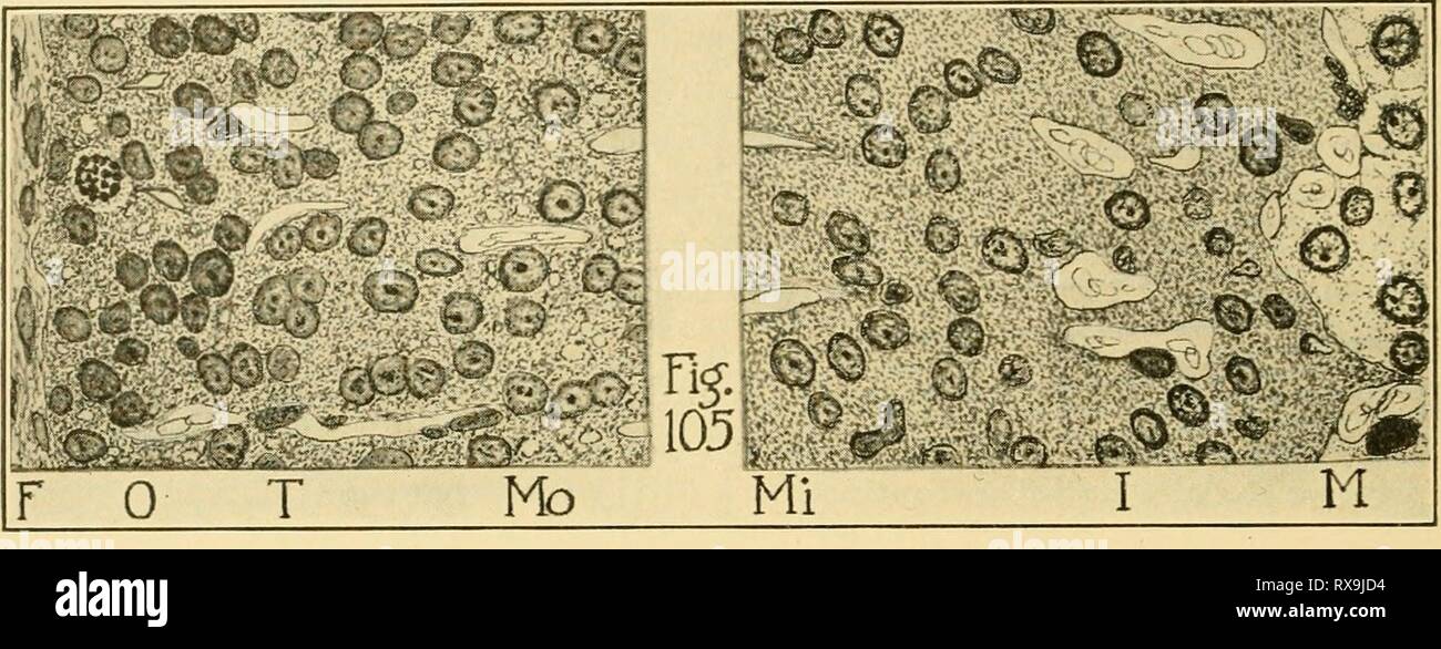 424 mm hi-res stock photography and images - Alamy
