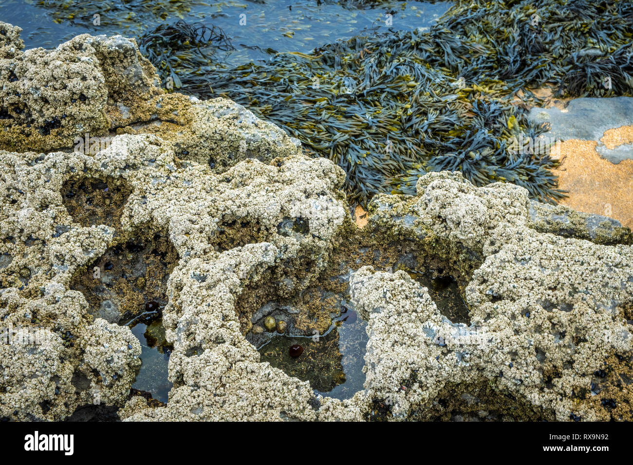 Fanore on the Burren Stock Photo - Alamy
