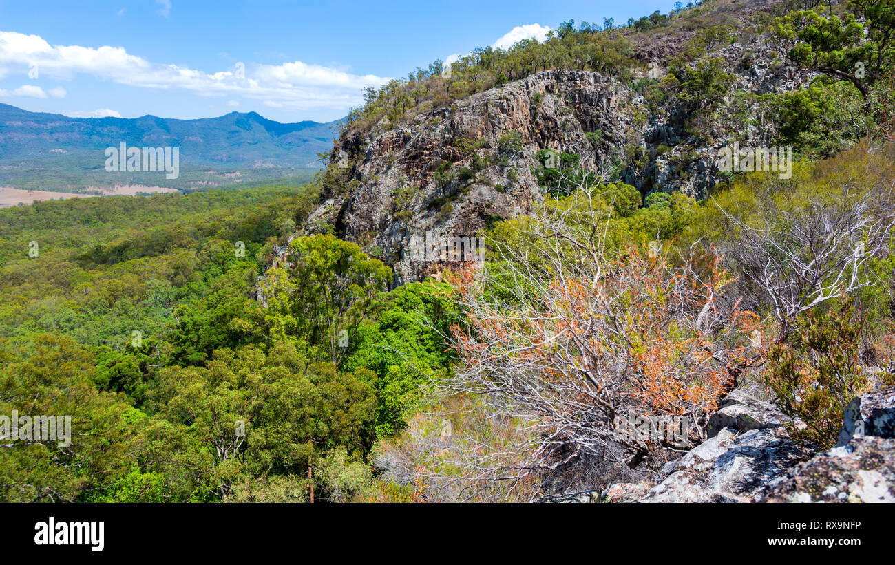 Australian bush landscape hi-res stock photography and images - Alamy