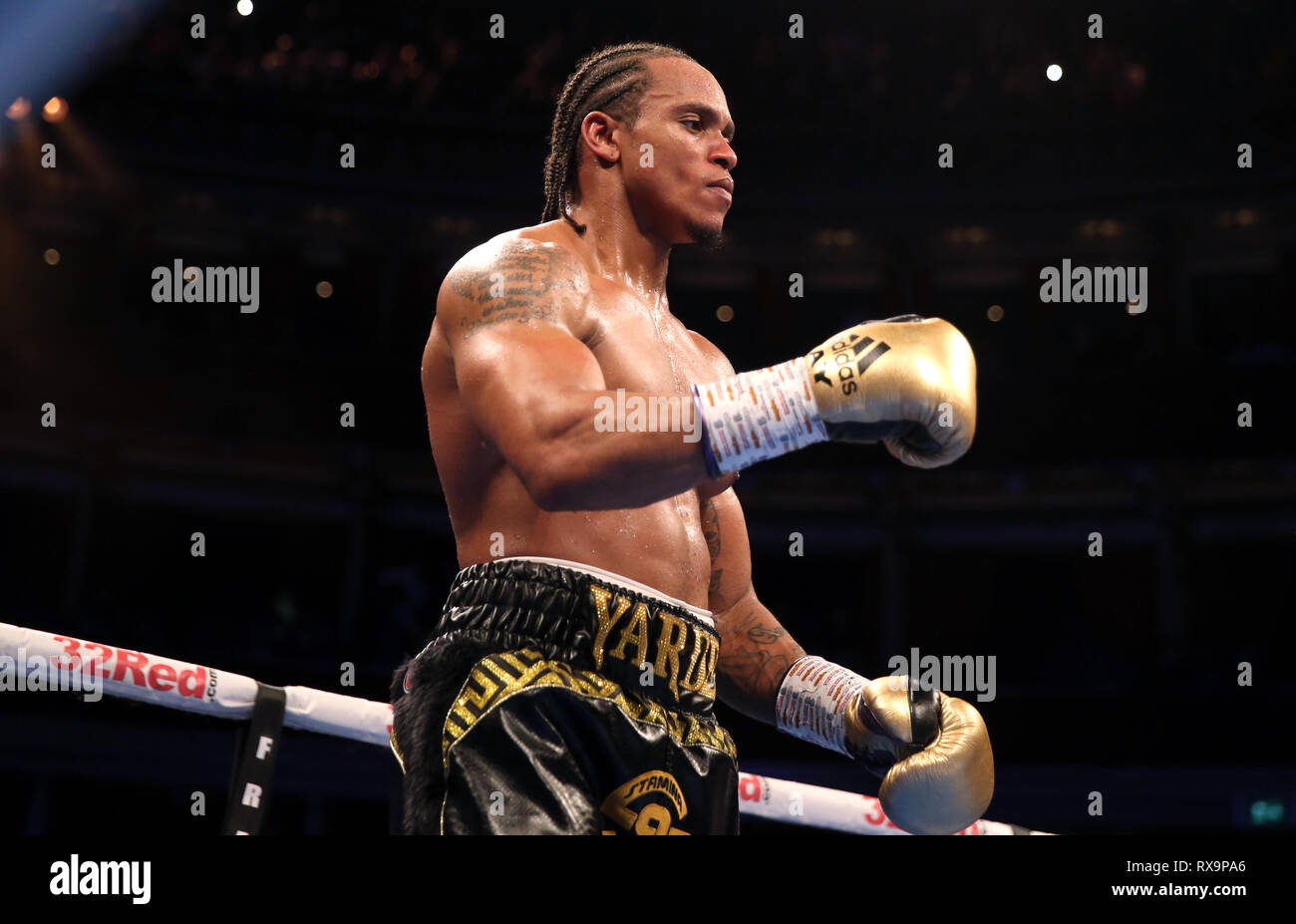Wbo intercontinental light heavyweight championship bout royal albert ...