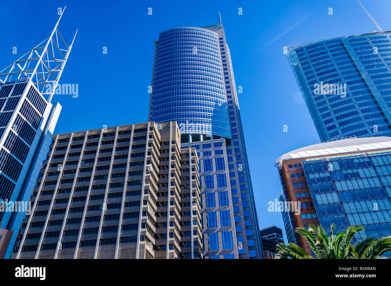 Skyscrapers the dominant buildings in the Central Businees District of ...