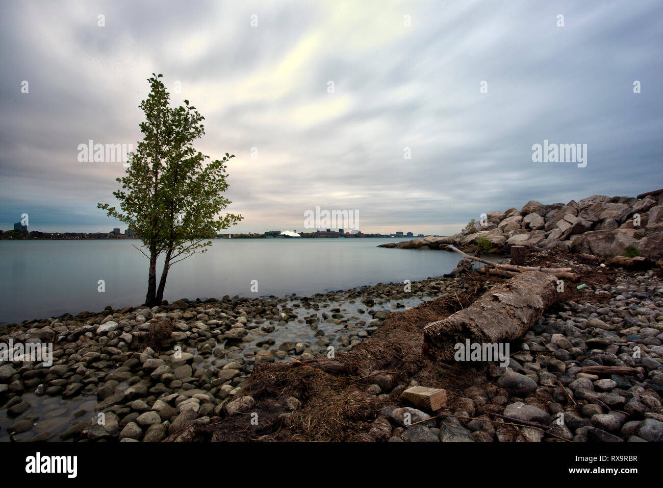 Scenic Windsor Ontario Riverfront View Solitary Tree Stock Photo - Alamy