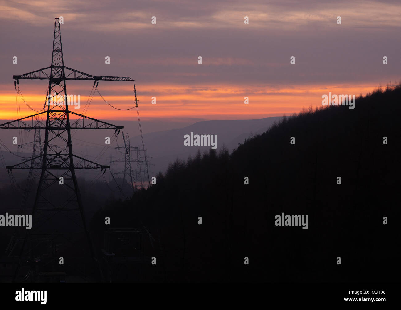 Power Pylons run through a forest at Sunset in the UK, Peak District ...