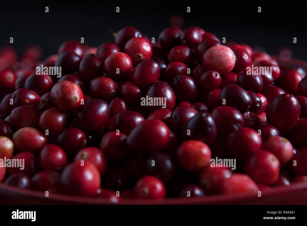 Cranberries large hi-res stock photography and images - Alamy