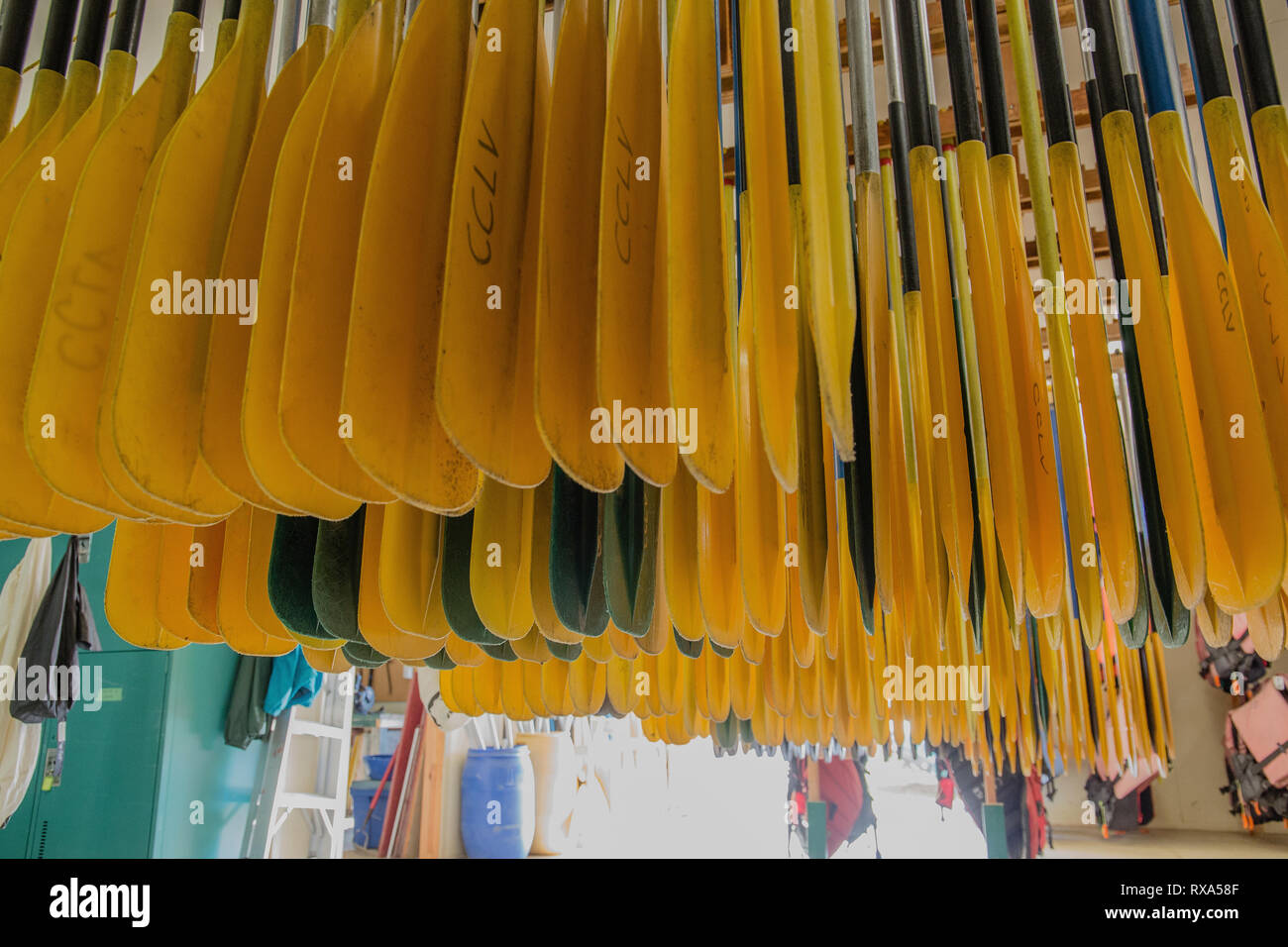 Still life low angle view hi-res stock photography and images - Alamy