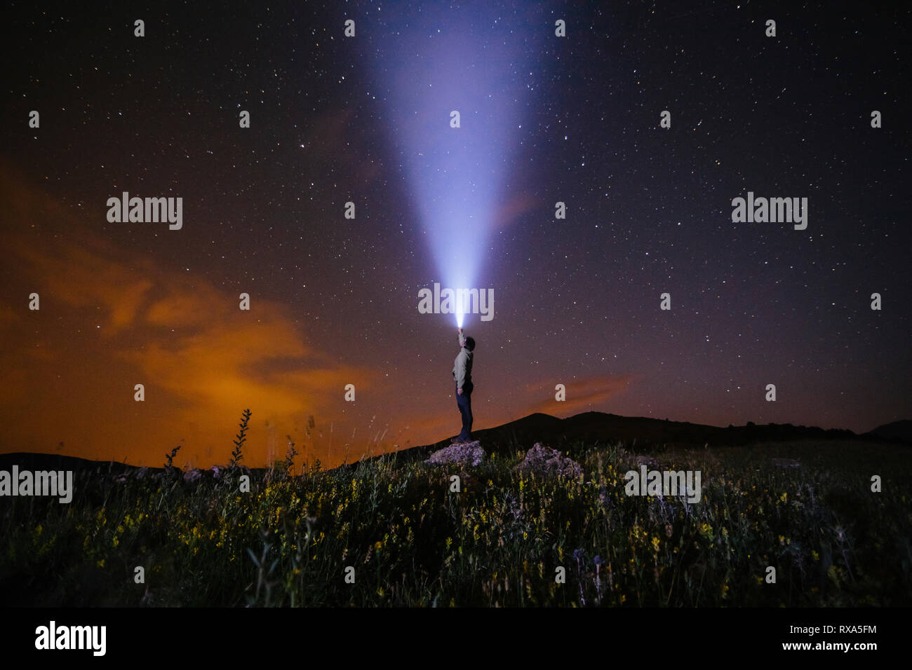 Night field and flowers hi-res stock photography and images - Alamy