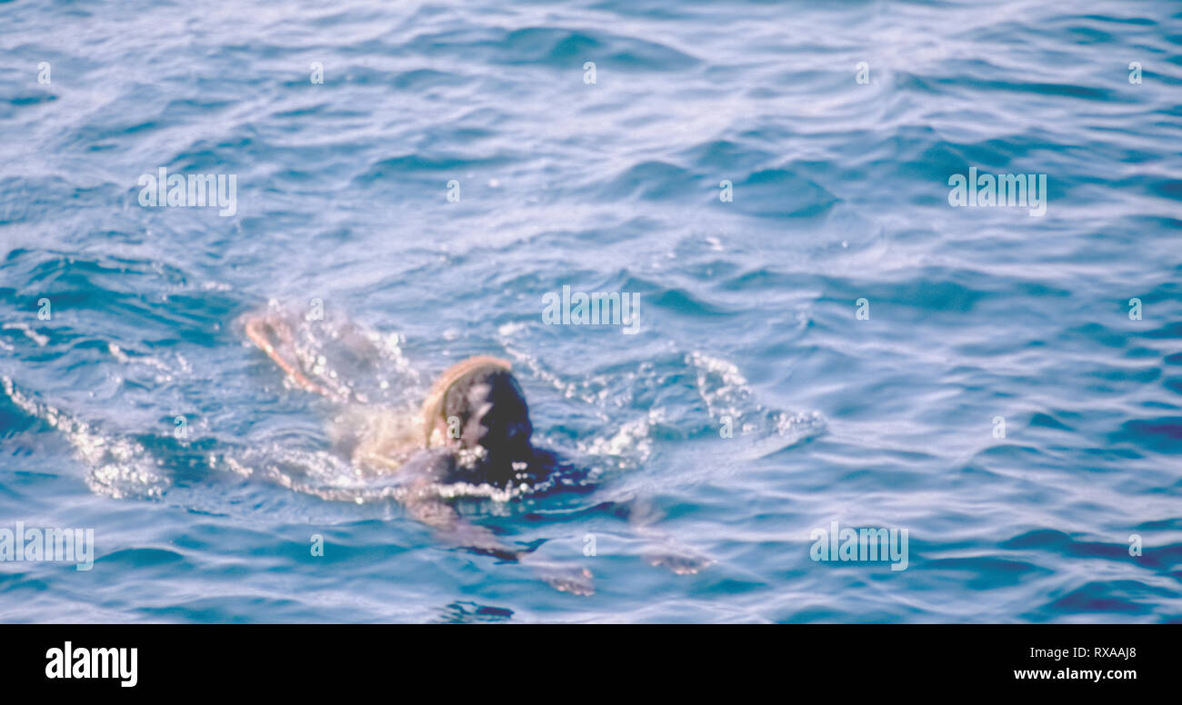 Jarwa ,Negtrito,swimming,Andaman Bay,to reach ,Contact Party boat ...