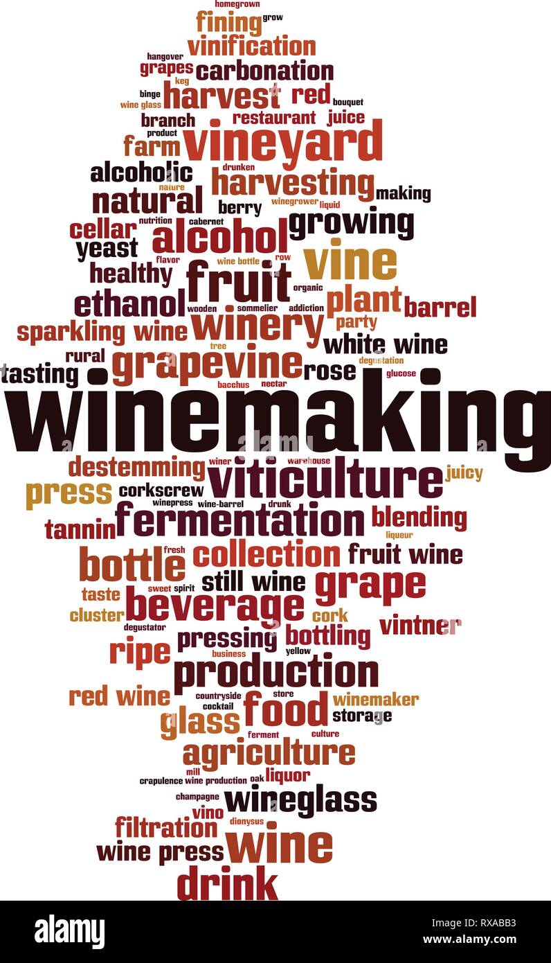Winemaking word cloud concept. Vector illustration Stock Vector Image ...