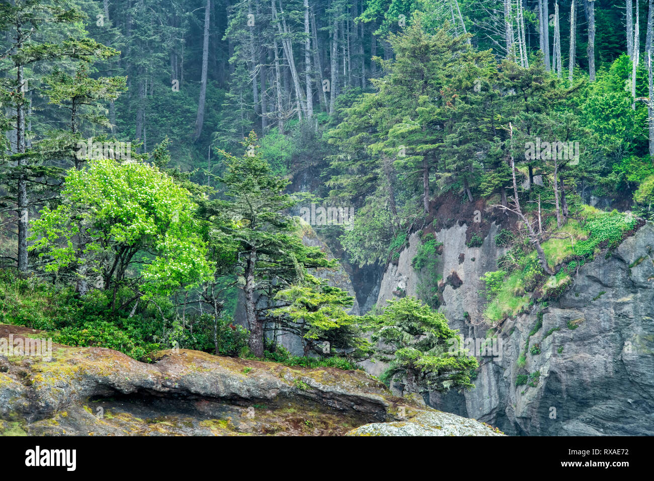 Cape Flattery, Pacific Northwest, Washington State, USA Stock Photo - Alamy