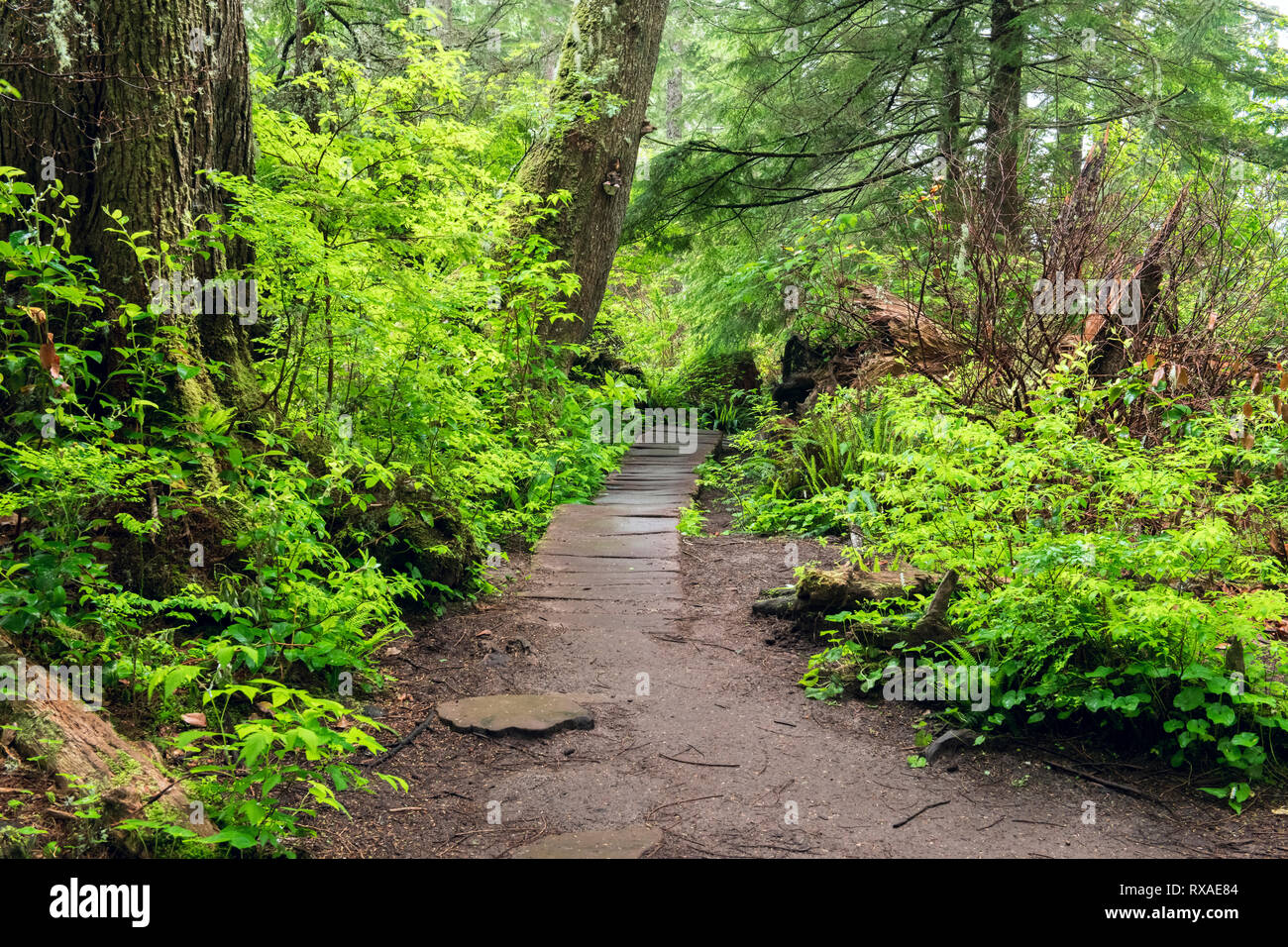 Cape Flattery Washington State Usa High Resolution Stock Photography ...