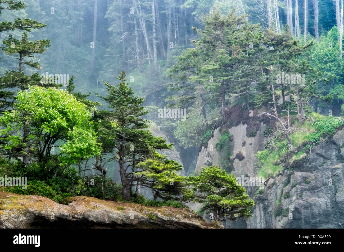 Cape flattery washington hi-res stock photography and images - Alamy