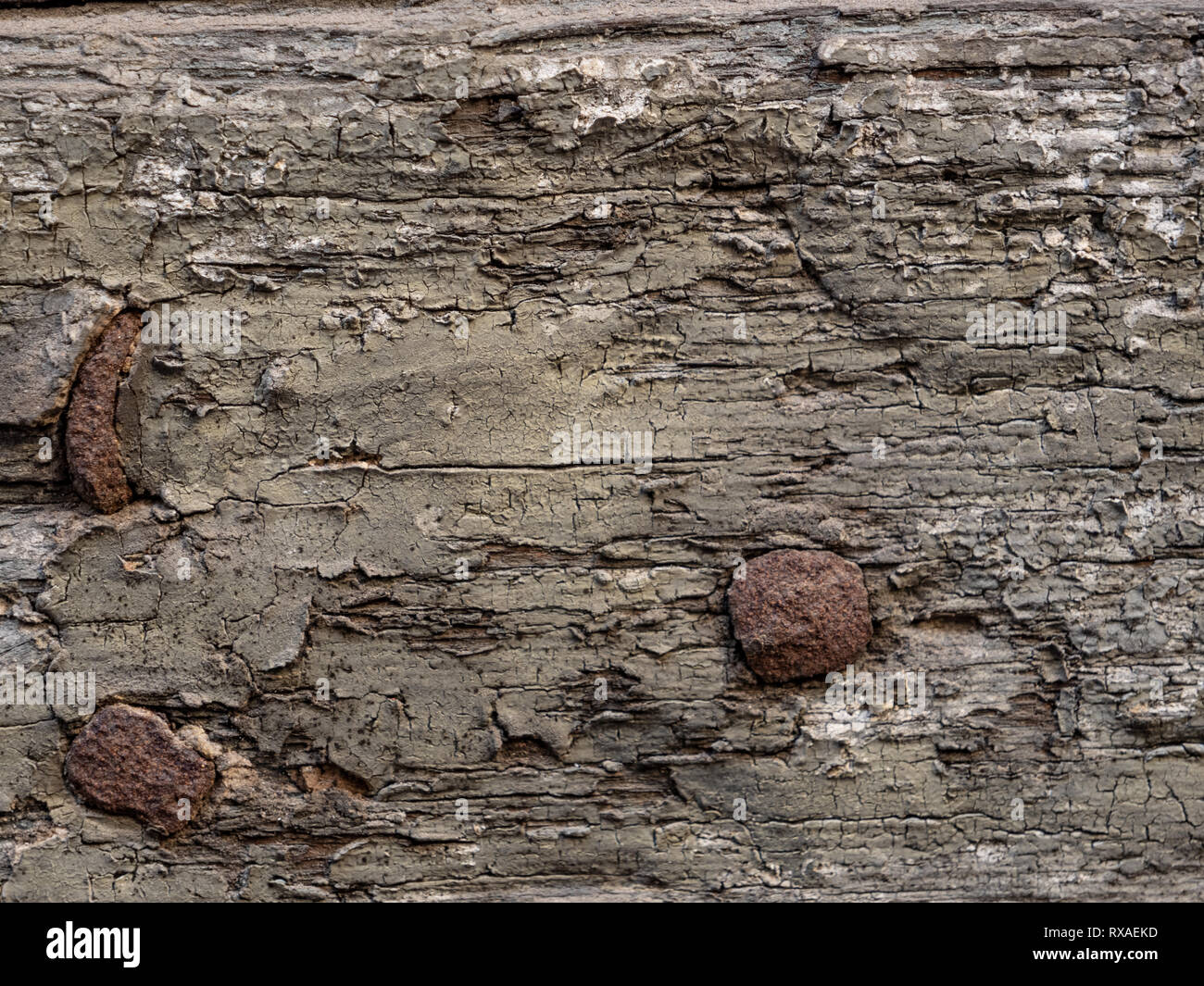 Decay texture hi-res stock photography and images - Alamy