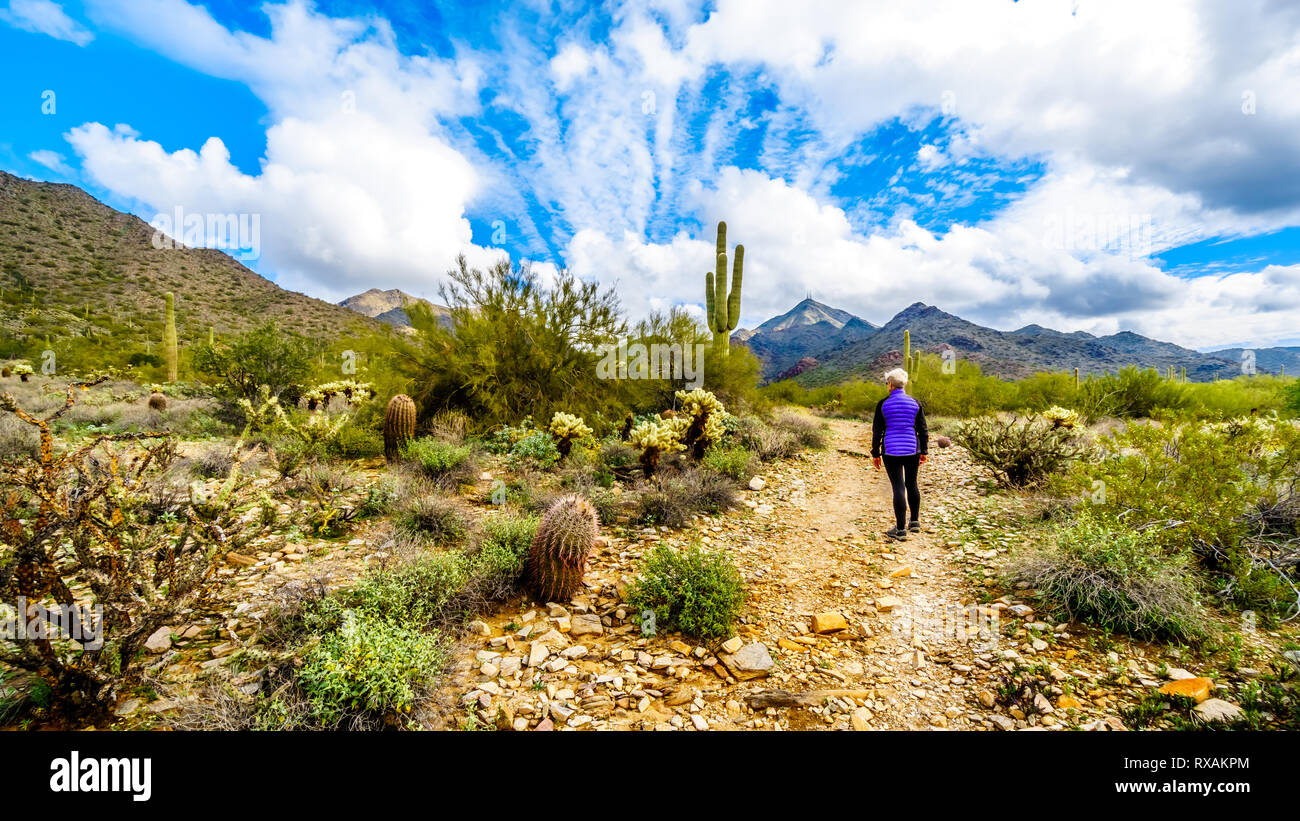 Senior Woman hiking on the Levee Trail in McDowell Sonaran Preserve ...