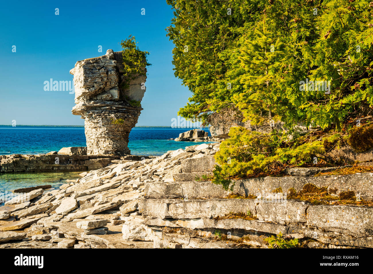 Small 'flowerpot' (sea stack) in morning light, Flowerpot Island ...