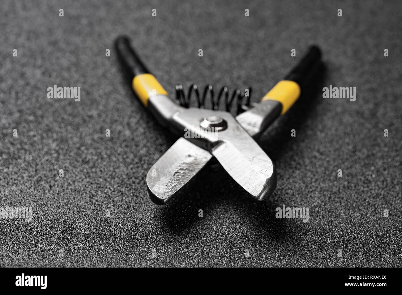 Wirecutters hi-res stock photography and images - Alamy
