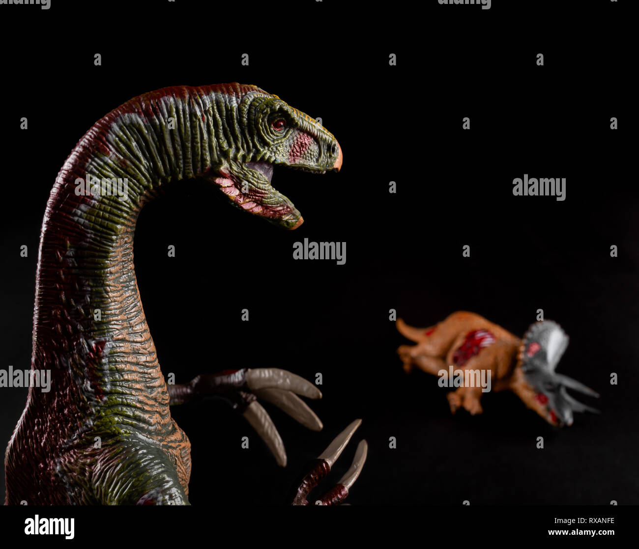 nothronychus in front of a triceratops body on dark background Stock ...