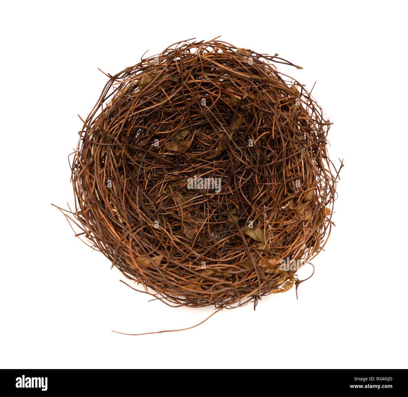 top view empty nest on white background Stock Photo - Alamy