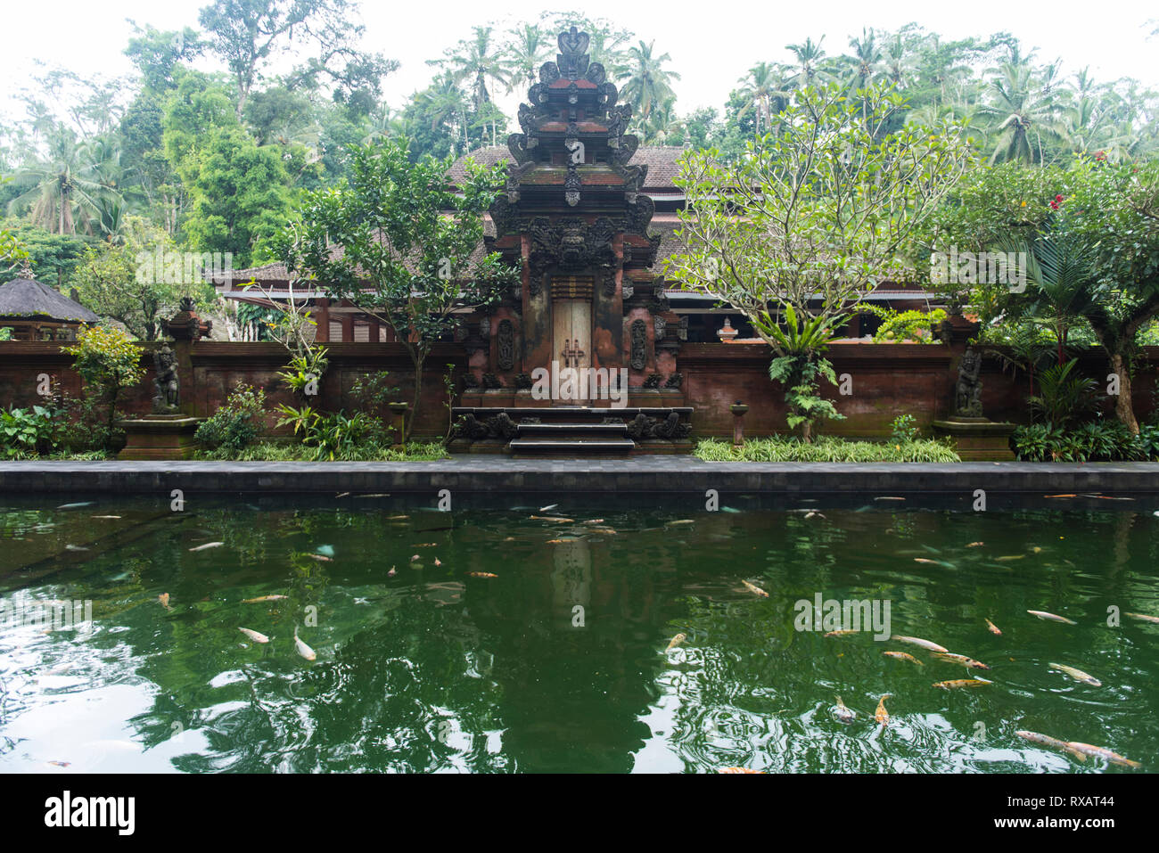 Temple plants hi-res stock photography and images - Alamy