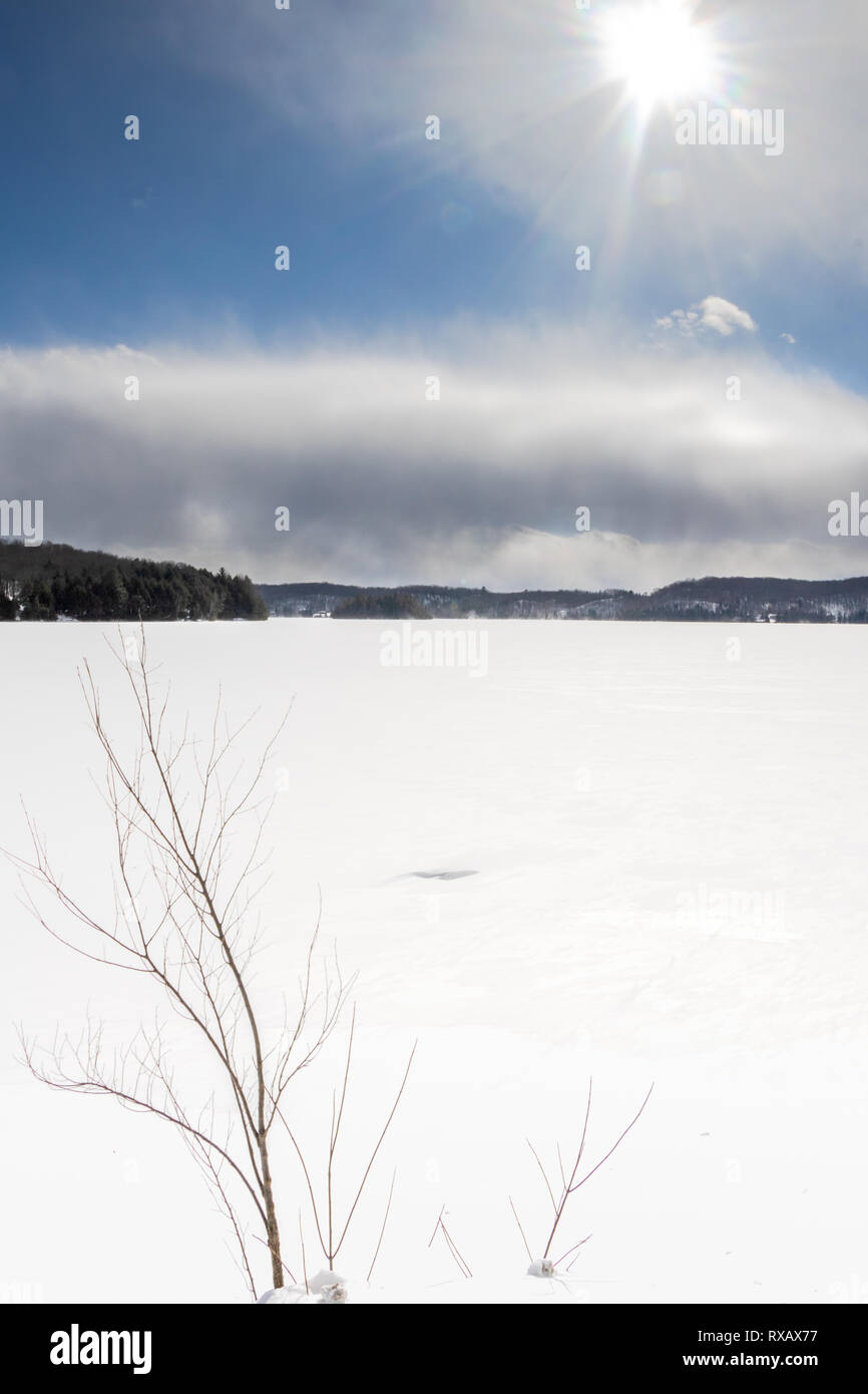 34 celsius hi-res stock photography and images - Alamy